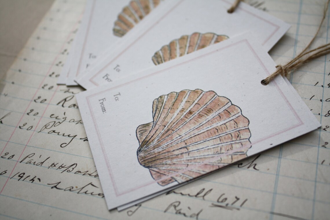 6 Scallop Shell Gift Tags Set of 6 Beach Tags on Recycled | Etsy