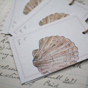 6 Scallop Shell Gift Tags, Set of 6, Beach Tags, on Recycled Cream ...