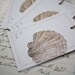 6 Scallop Shell Gift Tags, Set of 6, Beach Tags, on Recycled Cream ...