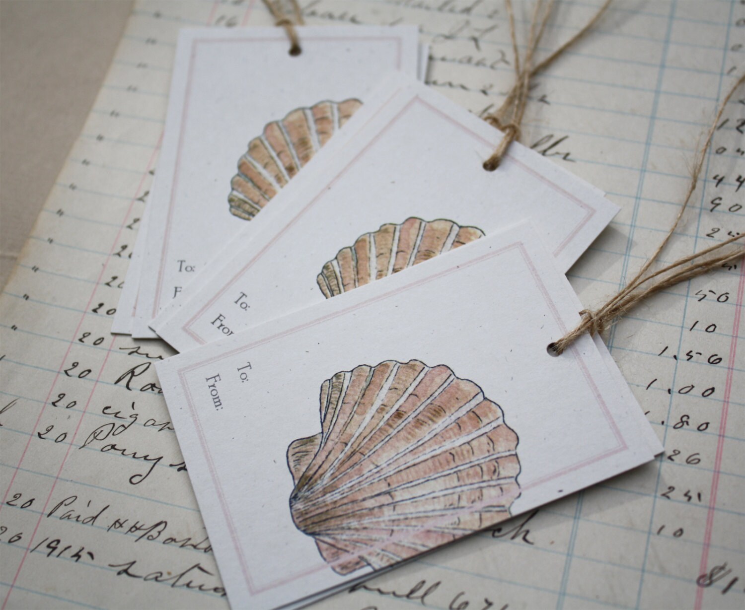 6 Scallop Shell Gift Tags Set of 6 Beach Tags on Recycled | Etsy