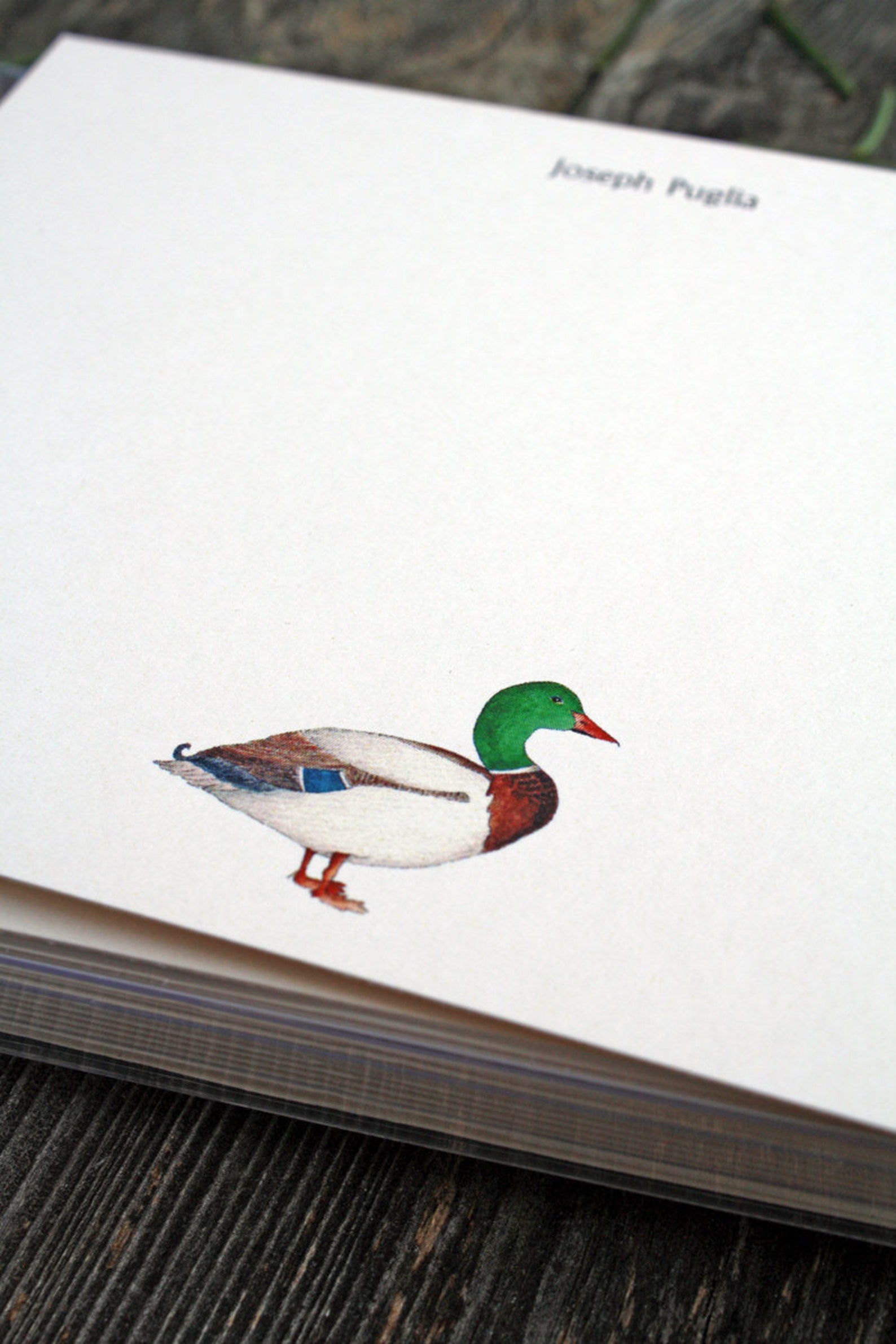 Mallard Duck Custom Stationery Notecards, Water Fowl Stationery. Thank ...