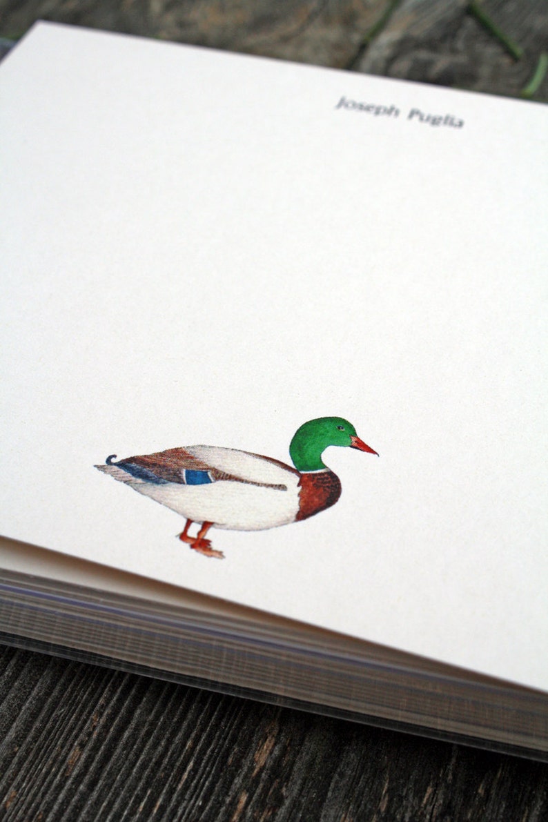 Mallard Duck Custom Stationery Notecards, Water Fowl Stationery. Thank ...