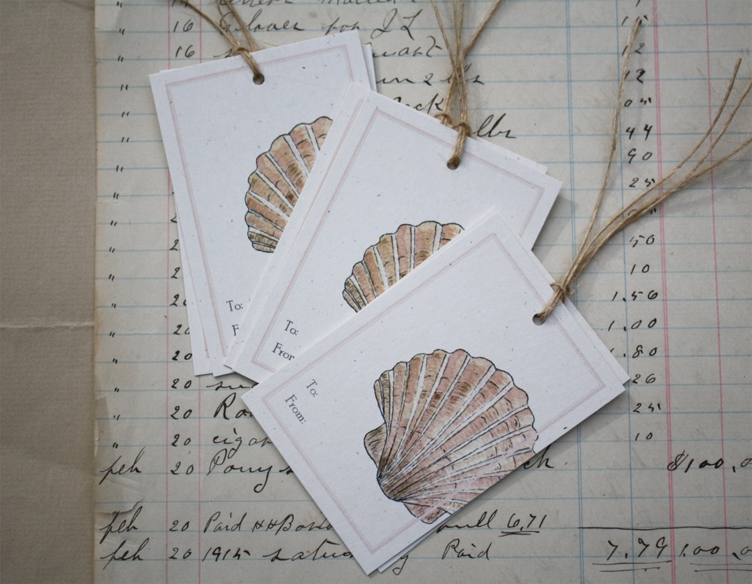 6 Scallop Shell Gift Tags, Set of 6, Beach Tags, on Recycled Cream ...