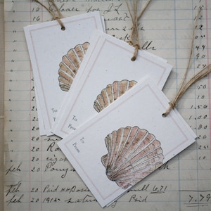 6 Scallop Shell Gift Tags, Set of 6, Beach Tags, on Recycled Cream ...