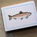 Fishing Salmon Trout Fisherman Thank You Notecards Stationery - Etsy