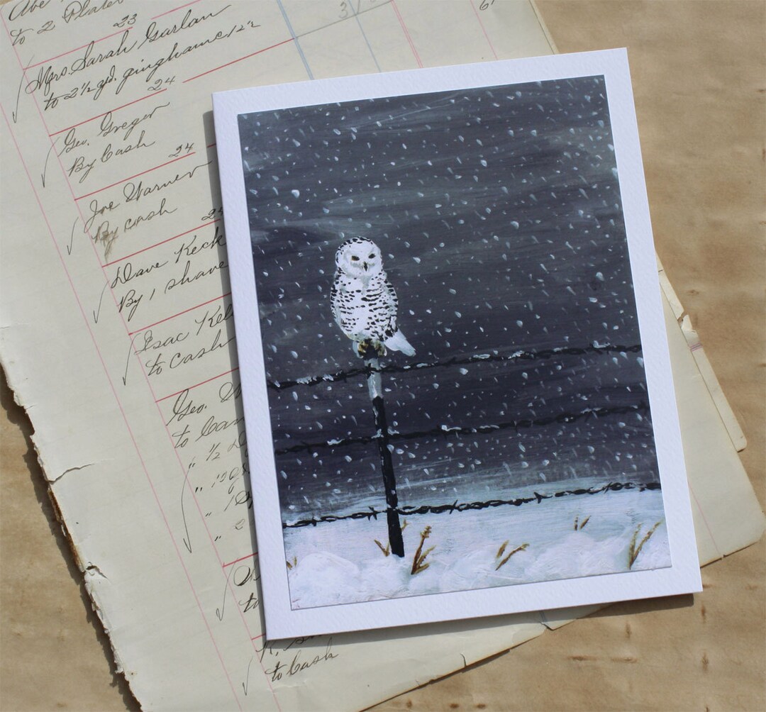 Snowy Owl Lover Card. Card for Birder. Card on Dark Snowy Night ...