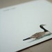 Goose Bird Custom Stationery Notecards, Canadian Goose Stationery ...