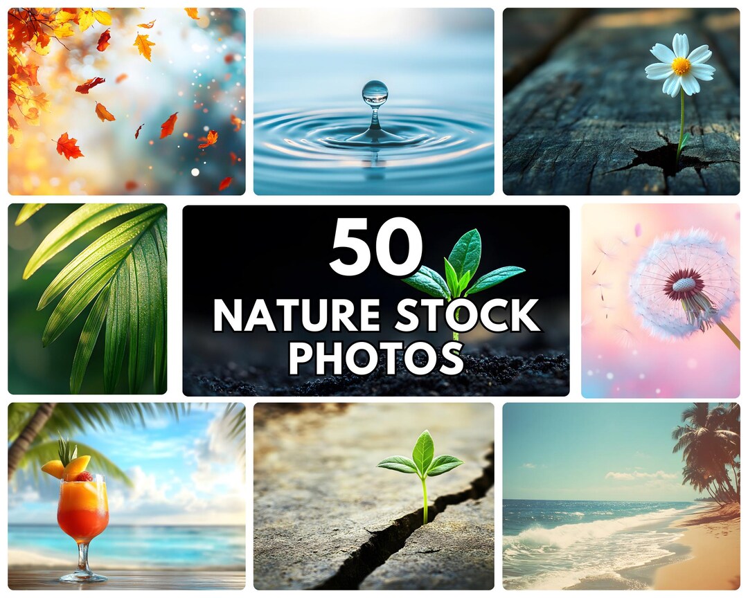 50 Nature Stock Photos | High-resolution Scenic Images | Beautiful ...