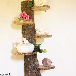 5-tiered Display Stand, Log Trophy Shelf Trinket Tray Rustic Home Wall ...