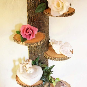 5-tiered Display Stand, Log Trophy Shelf Trinket Tray Rustic Home Wall ...