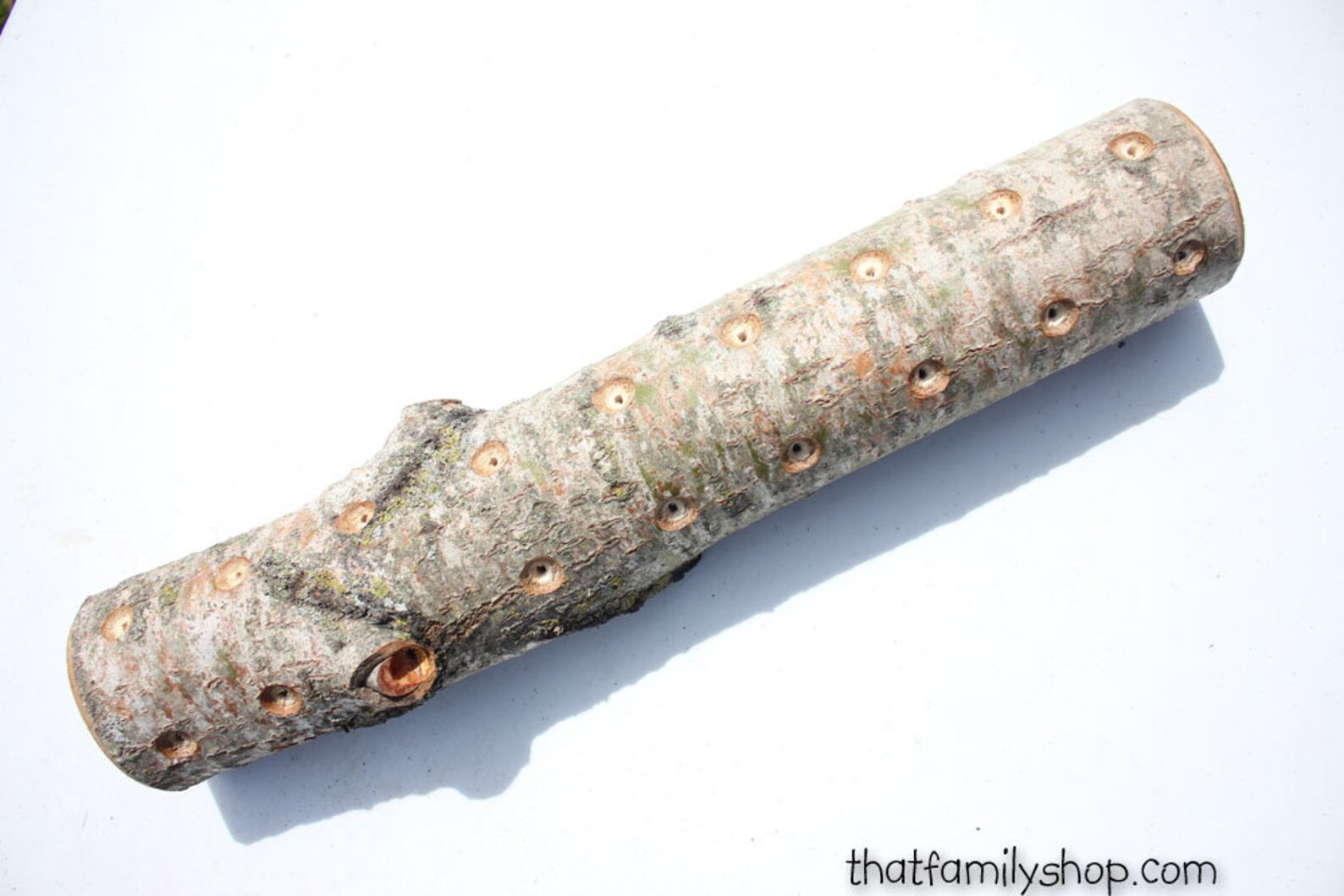 18 Cake Pop Holder Log Rustic Party Cake Stand Display Party - Etsy