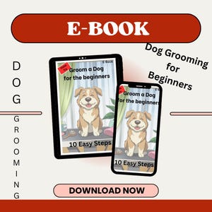The Beginner’s Guide to Dog Grooming | Tips for Grooming a Dog at Home | Essential Tips for New ...