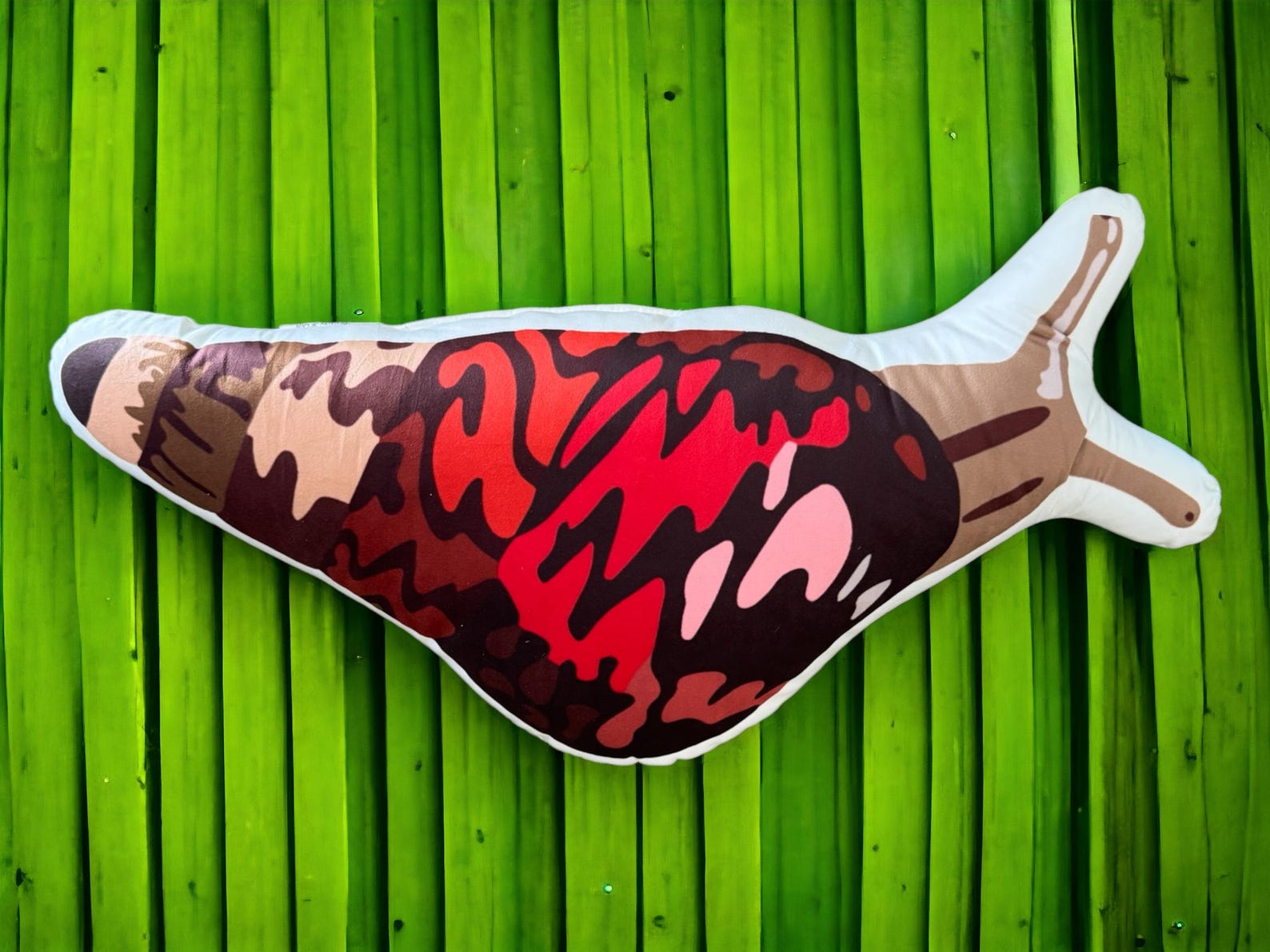 Kahuli Snail Pillow Laminella Sanguinea - Etsy