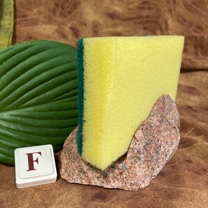 Rock Sponge Holder Order a Specific Rock - Etsy