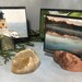 Rock Display Stand With a Framed Photo - Etsy