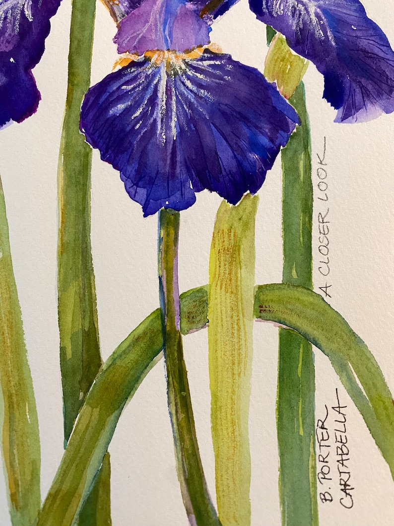 IRIS BLUE Card - Etsy