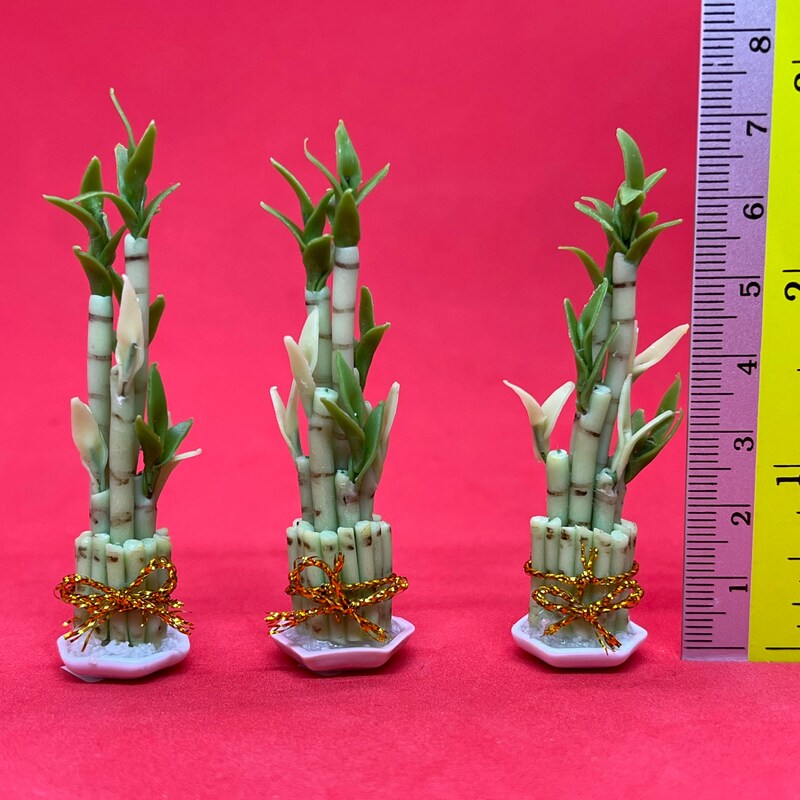 Miniature Bamboo - Etsy