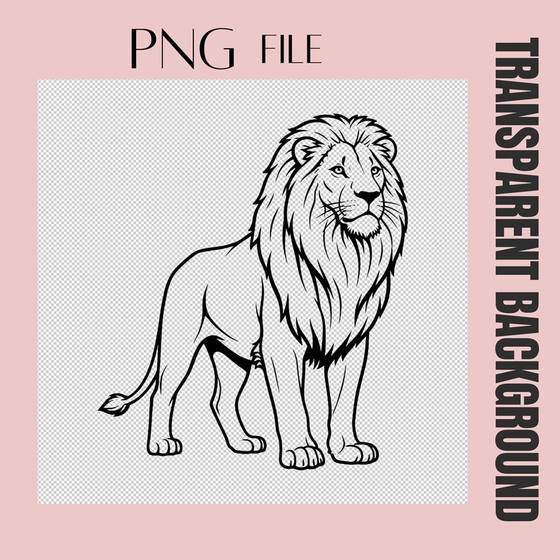 Zoo Animal Line Art Clipart Set for Kids Coloring and Educational ...