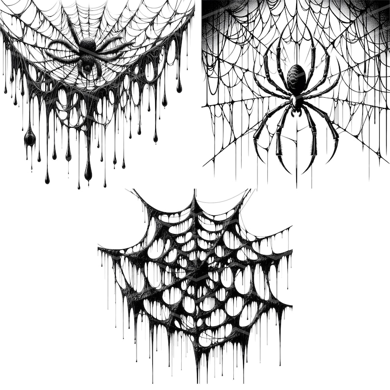 Spider Web Clipart Bundle: Gothic Halloween PNG Graphics (digital ...
