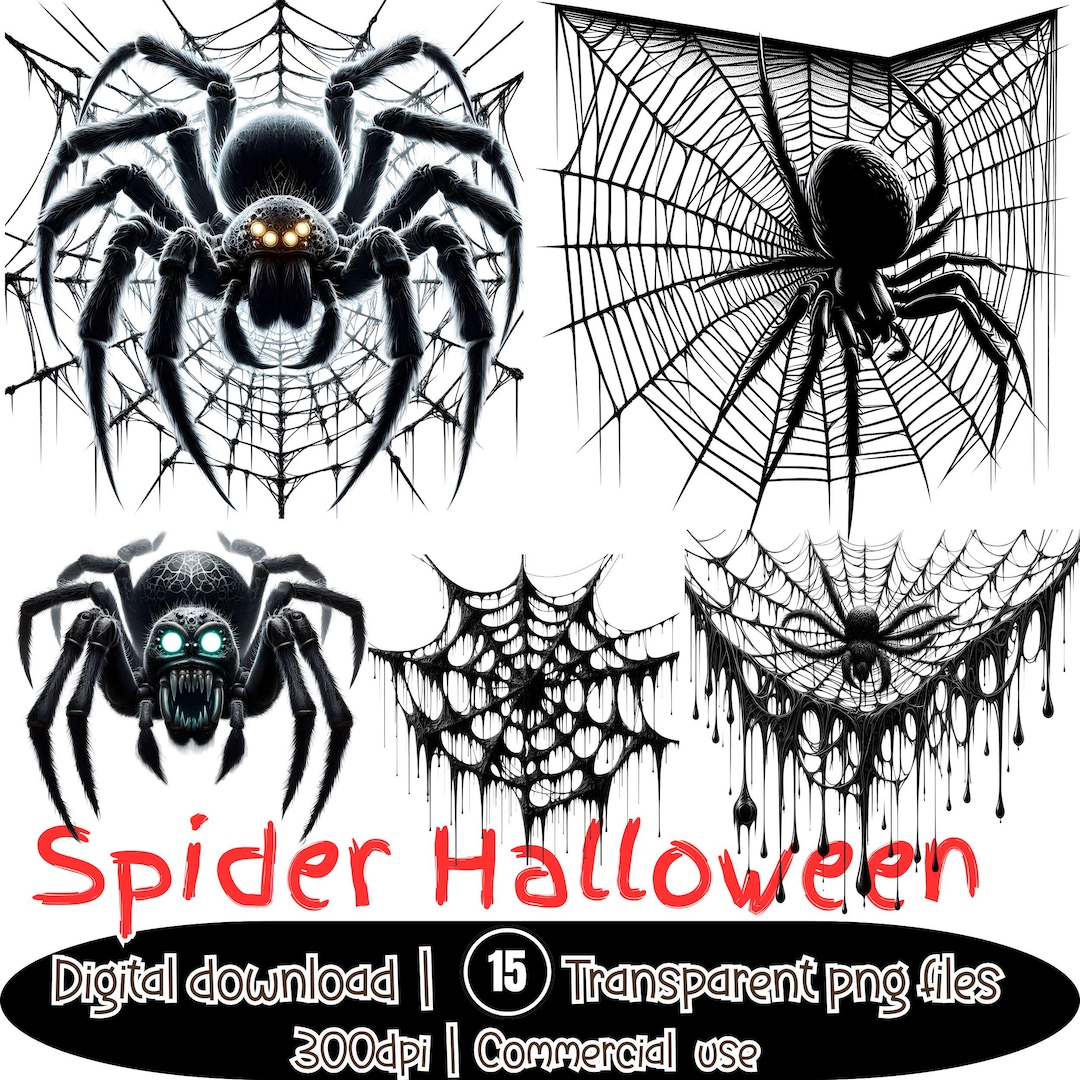 Spider Web Clipart Bundle: Gothic Halloween PNG Graphics (digital ...