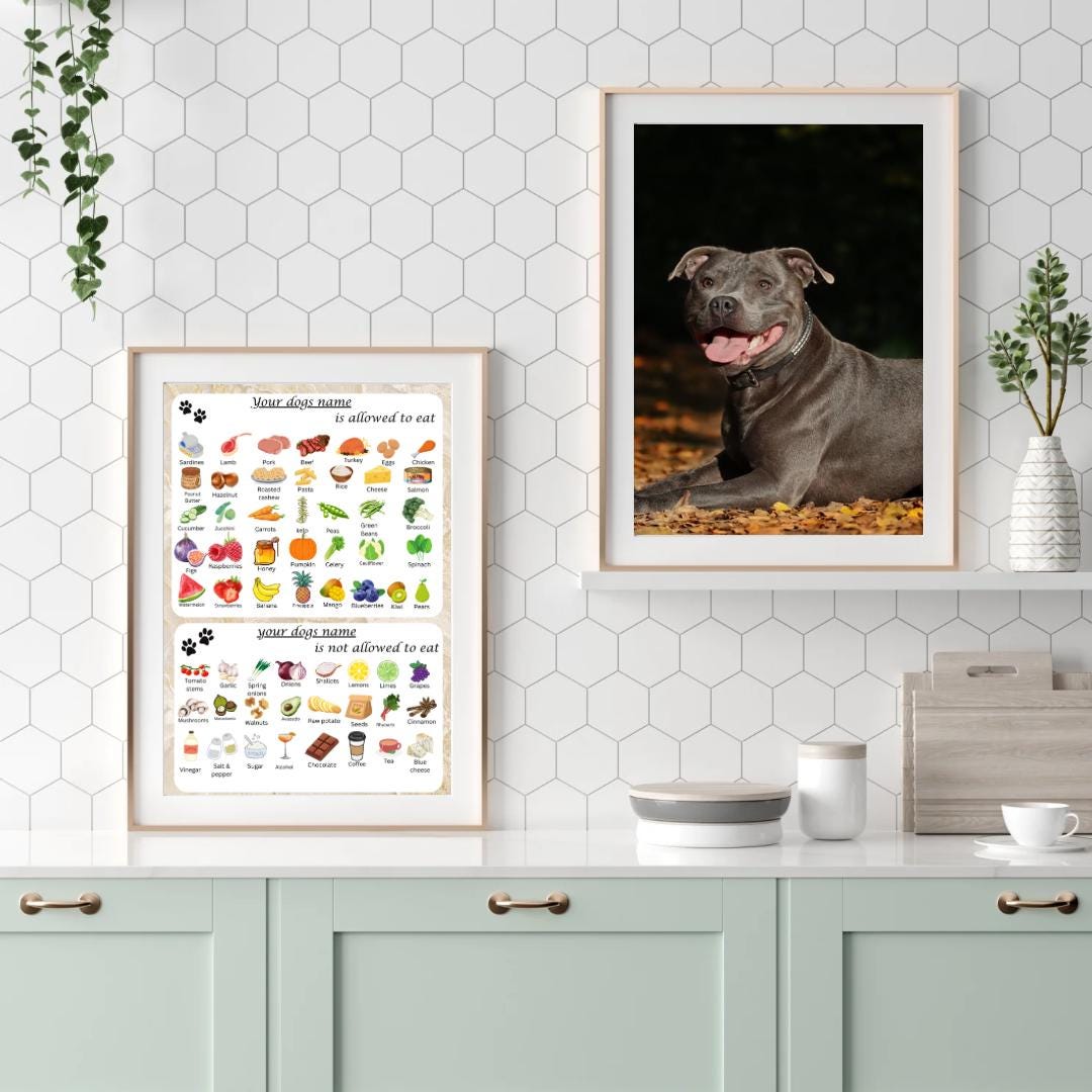 Easy Dog Food Chart, Dog Food Poster, Dog Cheat Sheet, Toxic Food List ...