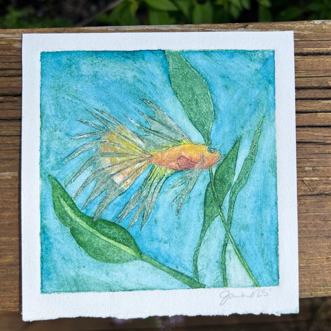 Betta. Art Range: Collagraph, Watercolor, Pet, Animal, Betta Fish Hand ...