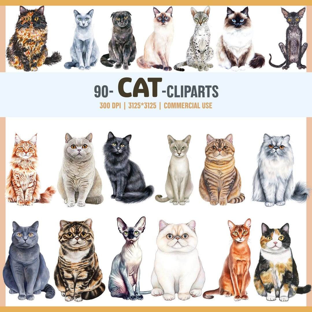 Cat Breeds Clipart PNG Bundle, Cats Clipart, Watercolor Cat Graphics ...