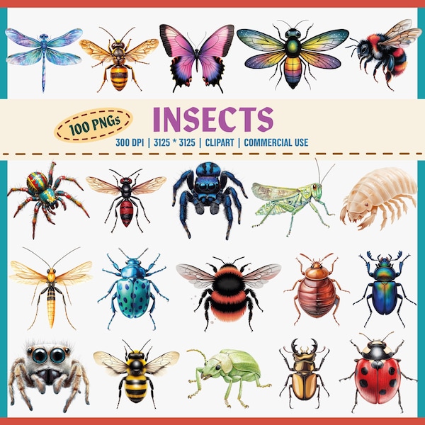 Insect Clipart - Etsy