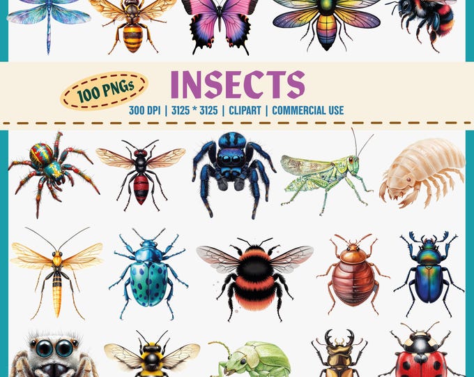 Bugs and Insects Clipart Set / Ant PNG / Cute Butterfly / Bee ...