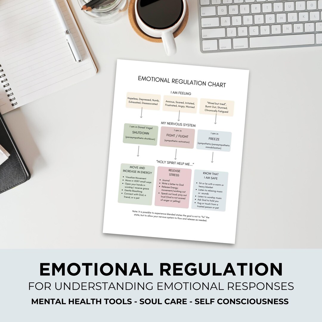 Emotional Regulation, Feelings Wheel, Preschool Toolbox, Zones of ...
