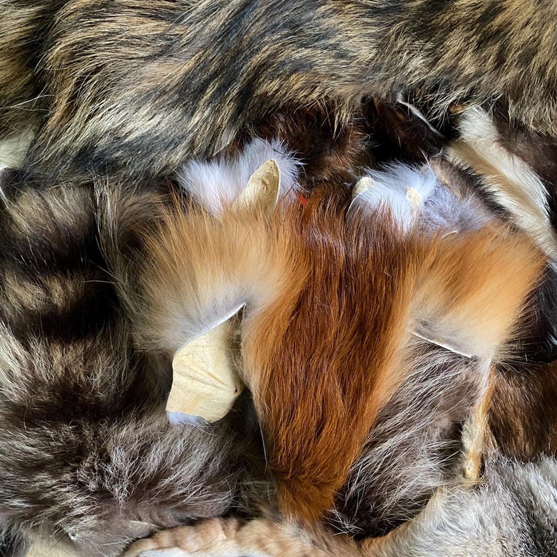 Bear Pelt - Etsy