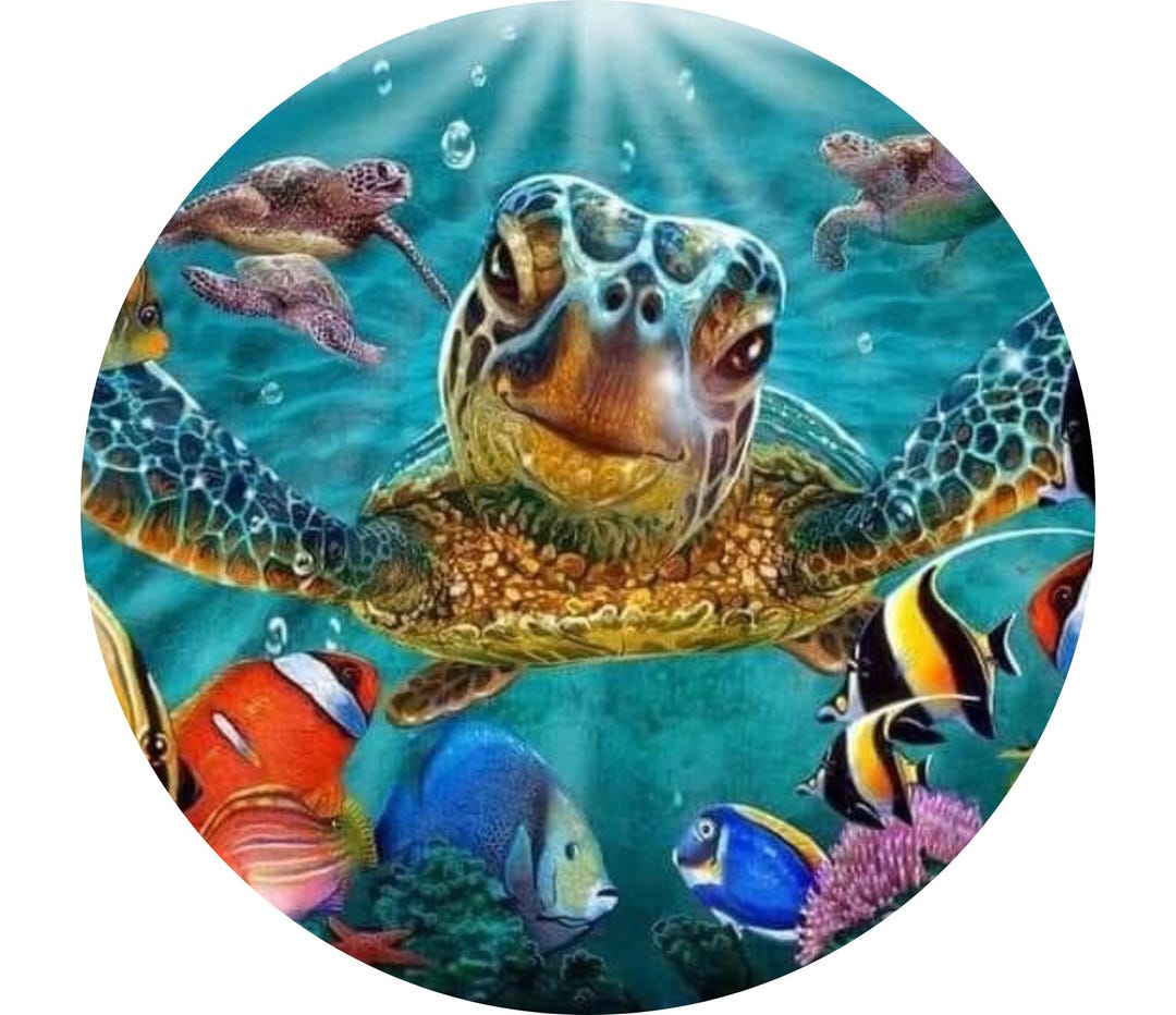 Round Sea Turtle PNG - Etsy