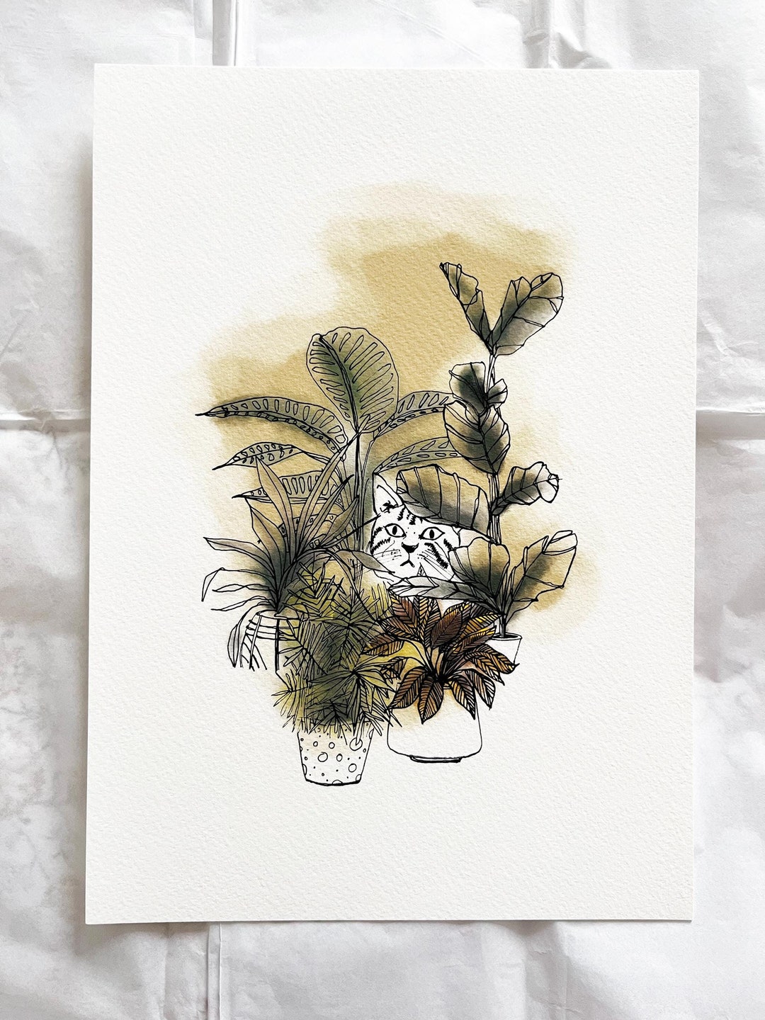 Wheres the Cat, A4 Print, Wall Decor, Room Art, Illustration, Poster ...