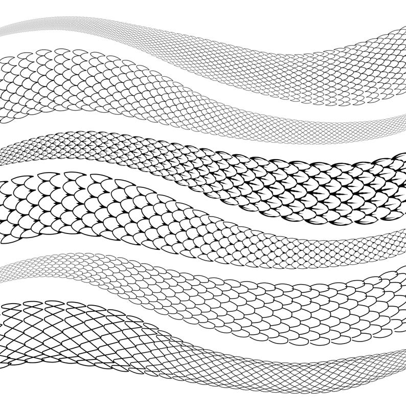 Ultimate Snake Kit – Procreate Brush Pack for Tattoo Artists ...