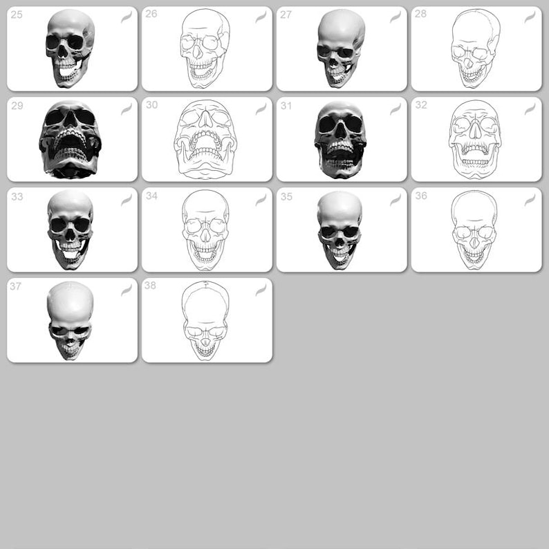 Human Skull – Procreate Brush Pack for Tattoo Artists & Illustrators - Etsy