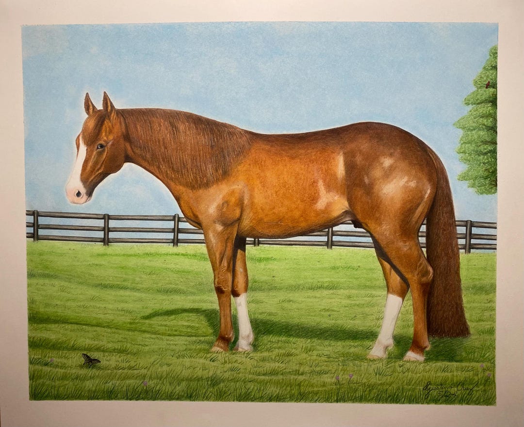 Sorrel Stallion - Original Colored Pencil Drawing of a Quarter Horse - Etsy