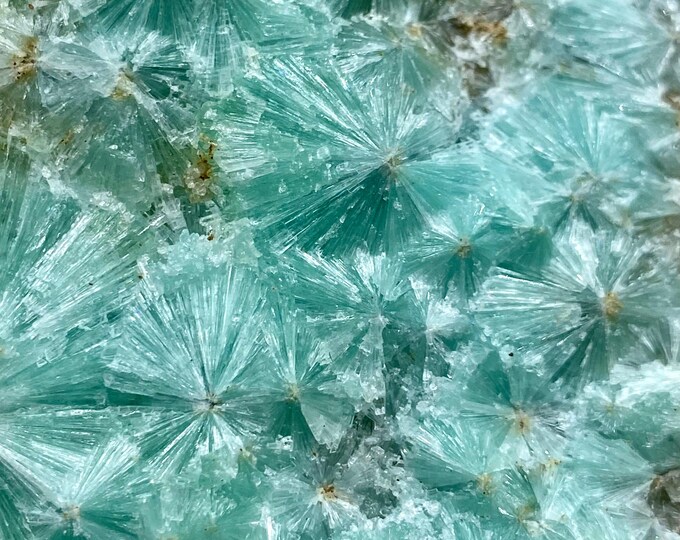 355 Gram Spectacular Flower Shape Aragonite Crystal Specimen From ...