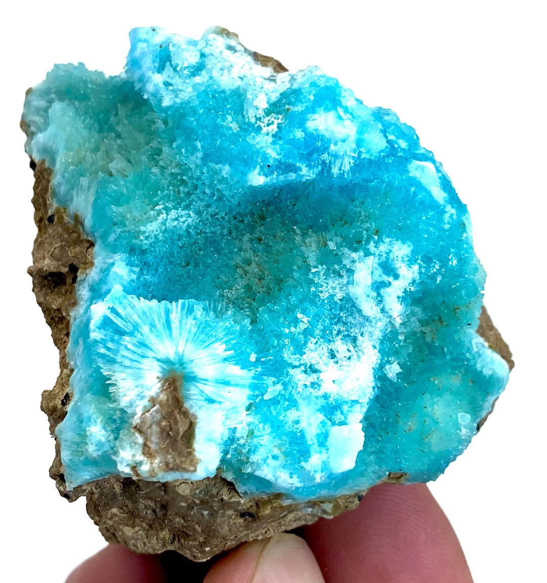 153 Gram Unique Rare Blue Banded Crystal Aragonite From Afghanistan ...