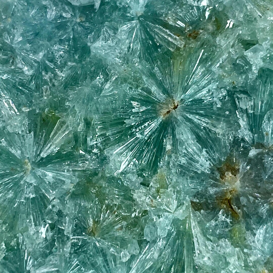 Aragonite Crystal Flower Specimen: Earthy Home Decor Collectible (200 ...