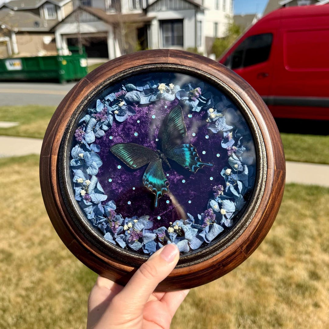 Butterfly Art | Real Butterfly Display | Floral Shadow Box | Purple ...