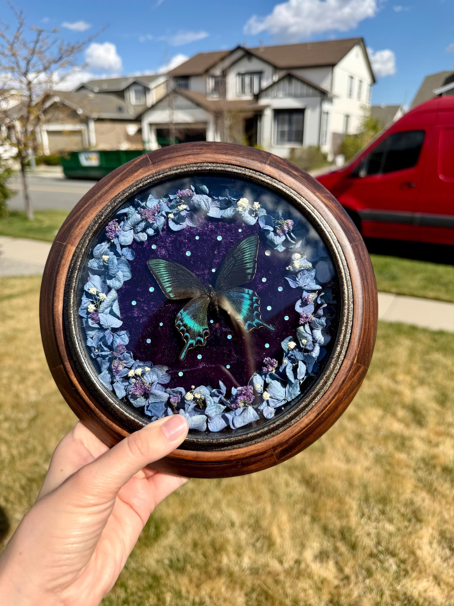 Butterfly Art | Real Butterfly Display | Floral Shadow Box | Purple ...