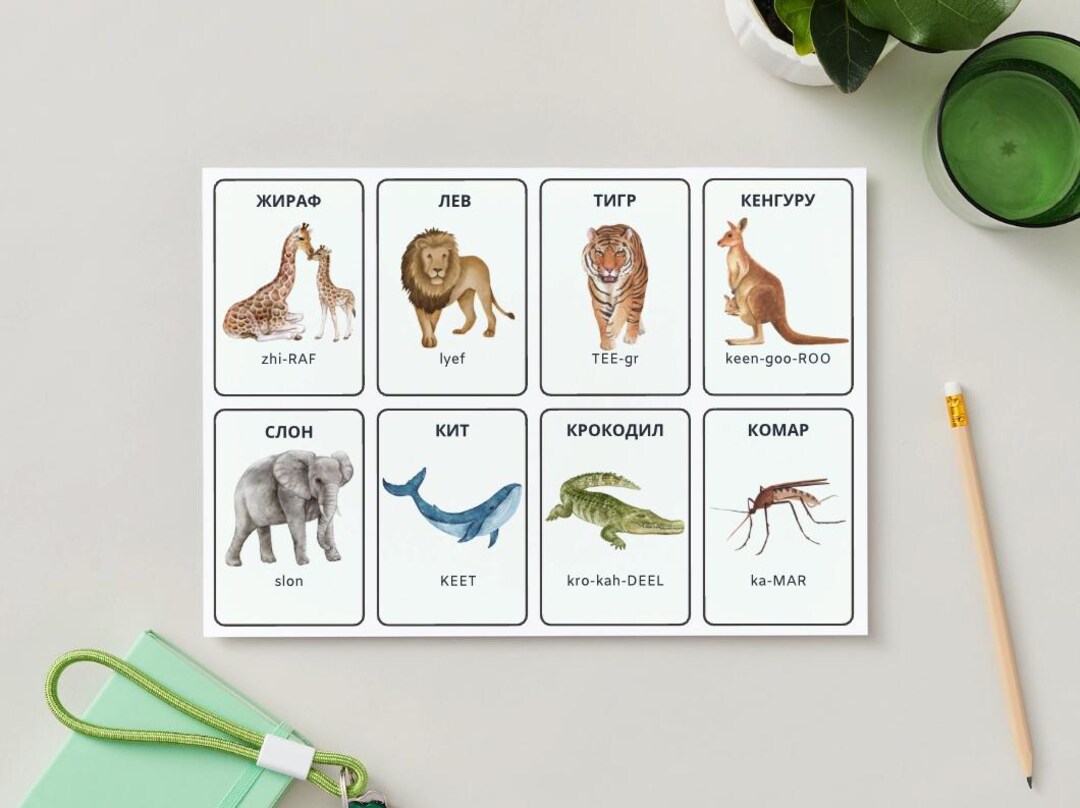 32 Printable Animal Flashcards English to Russian Vocabulary With ...