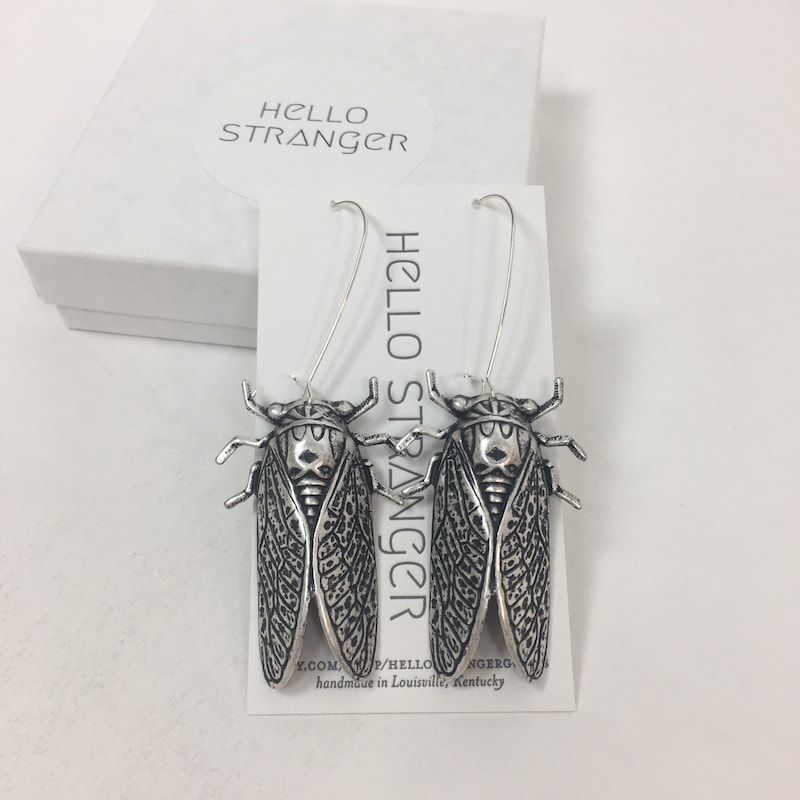 Cicada Wing Earrings - Etsy