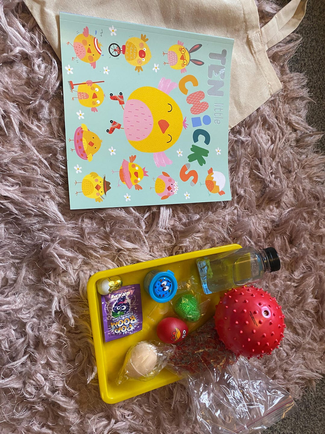 Easter Sensory Stories PECS Communication Activity - Etsy