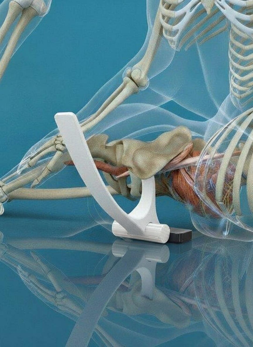 Hiphook Release Tool for Psoas & Iliacus, Professional Hip Flexor and ...