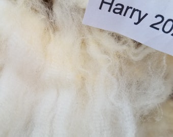 Cormo Fleece - Etsy