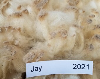 Cormo Fleece - Etsy
