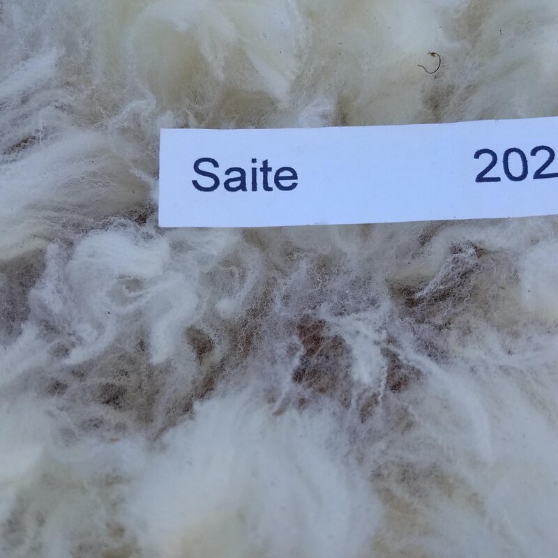 Cormo Fleece - Etsy