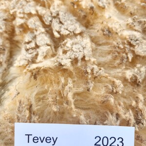 Cormo Fleece - Etsy