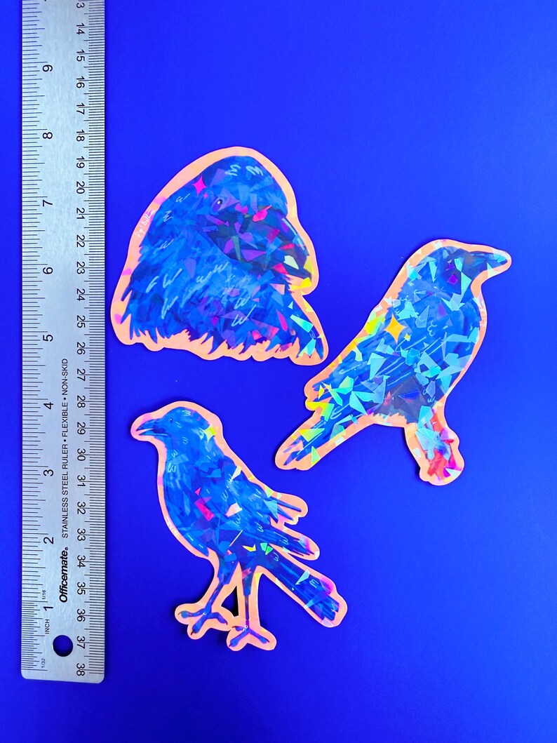 Baltimore Raven Sticker Pack | Hand Illustrated Bird Lover Sticker Pack ...